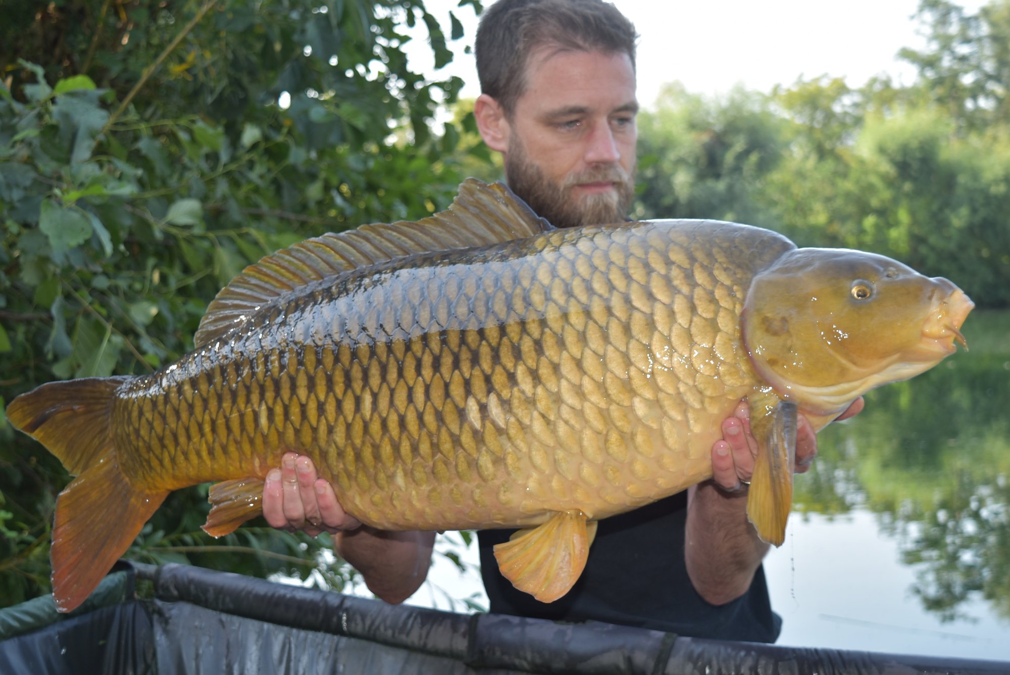 Three 30lb+ Carp including one from Cherry Mere | Cherry Lakes